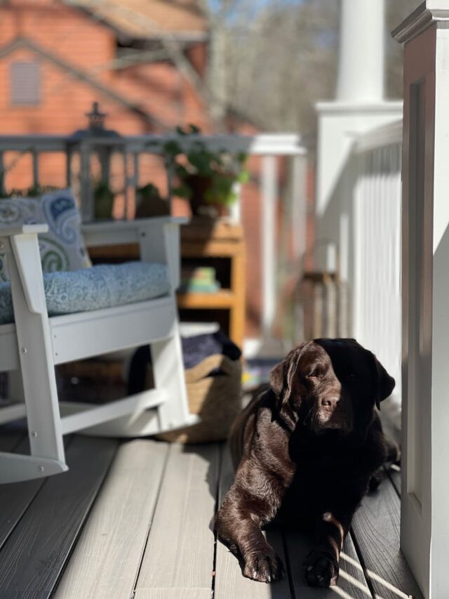 COZY UP YOUR PORCH FOR SPRING - Saved from Salvage