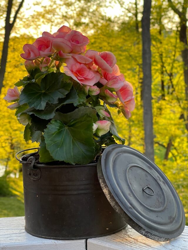 HOW TO USE VINTAGE CONTAINERS TO CREATE A UNIQUE GARDEN - Saved from ...
