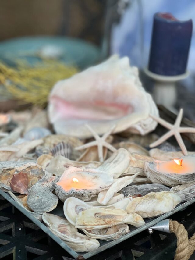 HOW TO MAKE A COASTAL INSPIRED TABLESCAPE USING SEASHELLS - Saved from ...