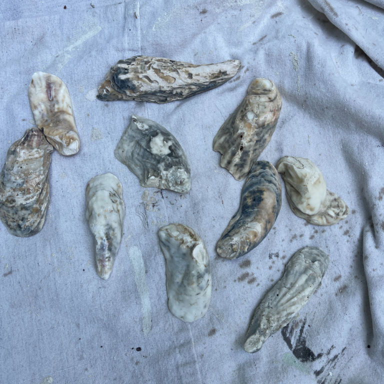 HOW TO DIY A COASTAL PUMPKIN - Saved from Salvage