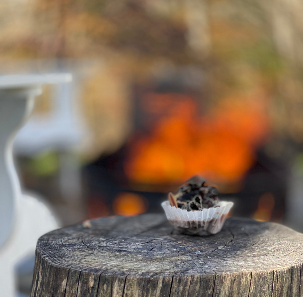 DIY HAND DIPPED PINECONE FIRE STARTERS - Saved from Salvage